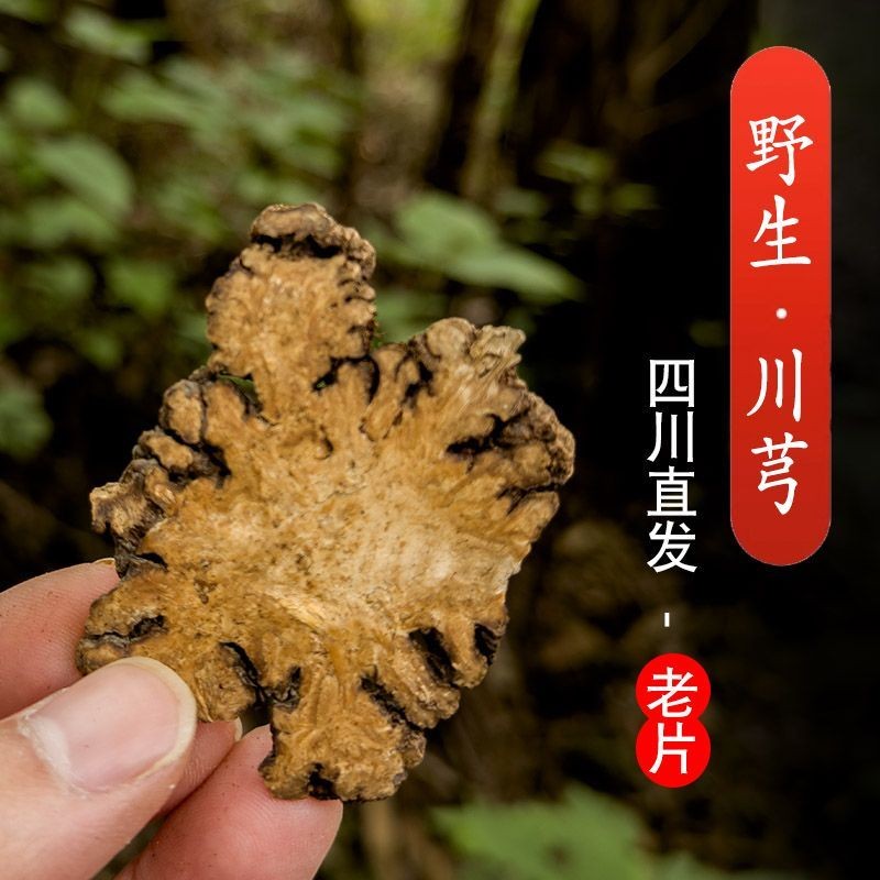 Sichuan Wild Chuanxiong Chinese Herbal Medicine Special Grade 500g ...