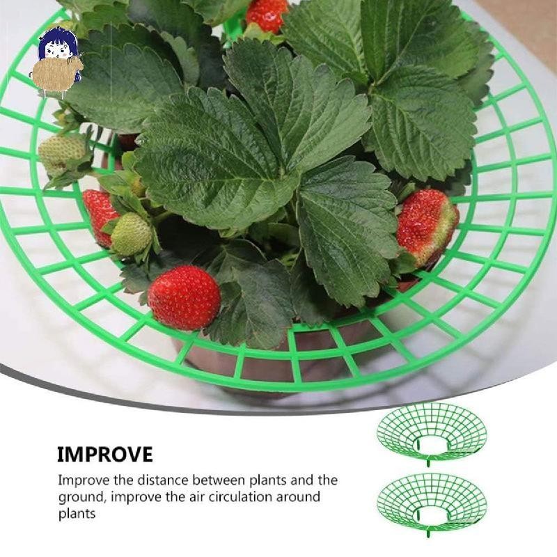 Strawberry Plant Supports with 3 Sturdy Legs Strawberry Growing Racks ...