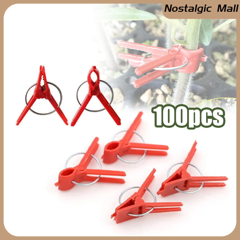 100pcs Plant Grafting Clips Plastic Flat/Round Grafting Clips For ...