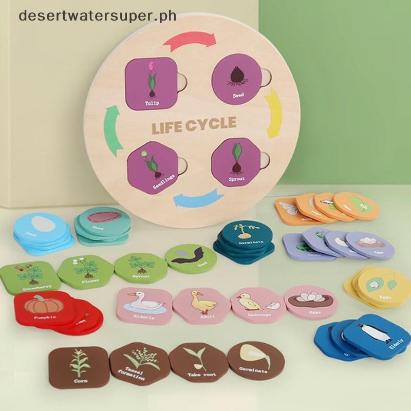 DSPH Life Cycle Board Montessori Kit Biology Science Education For Kids ...