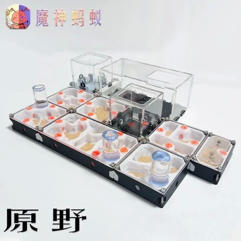 Biomimetic flat ant nest acrylic ant nest 3D printing ant nest | Shopee ...