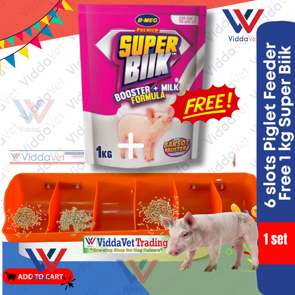 6-slot Piglet feeding trough + Super Biik 1kg Piglet Piglet Feeder ...