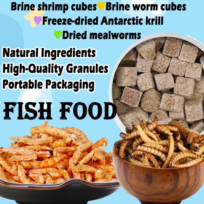 20g Fish Feed Dried Mealworms Freeze-Dried Brine Shrimp Block Brine ...