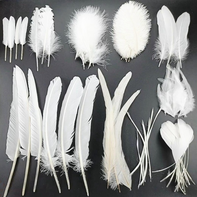 20pcs White Rooster Goose Pheasant Feathers for Crafts jewelry making ...