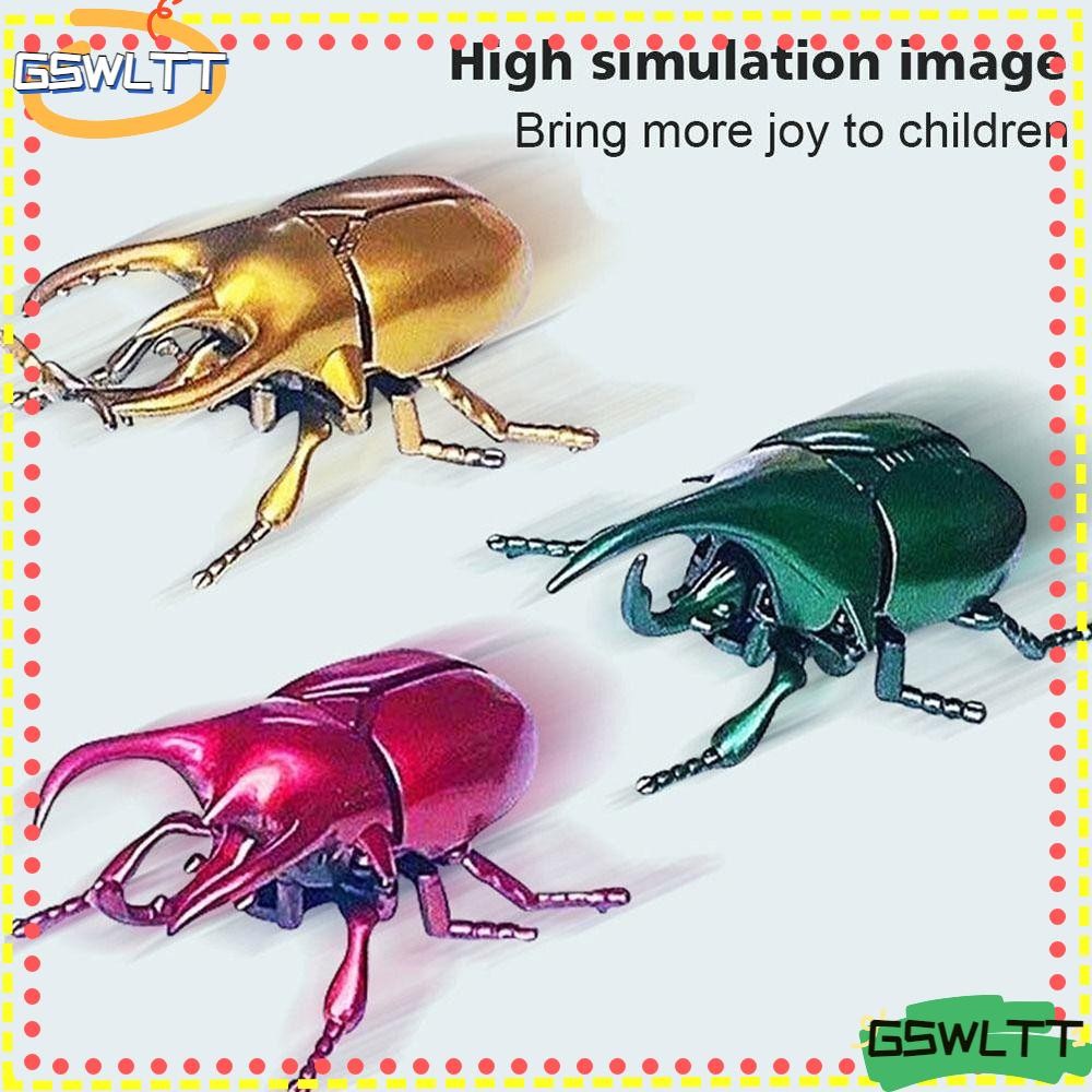 GSWLTT Animated Insect Model, Gifts Children's Battle Wind-Up Beetle ...