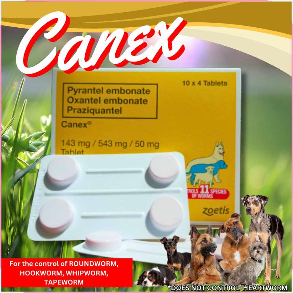 ZoetisF;CANEX's/Dewormer>Bm)Tablets}rR)for}rE)Dogs}uQ)(sold}S)by}Z)4 ...
