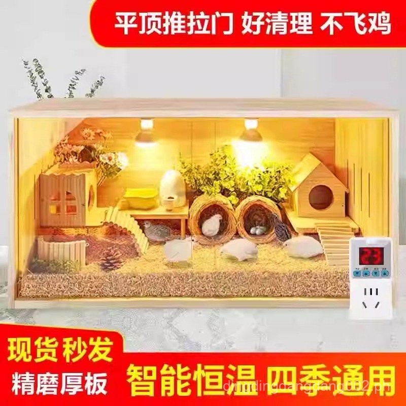 Rutin Chicken Feeding Box Luding Chicken Landscaping Thermostat Chicken ...