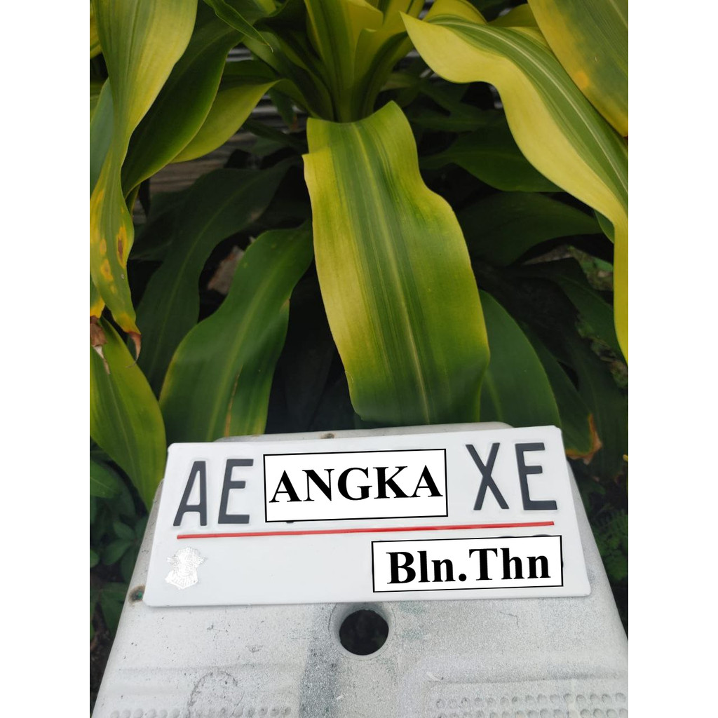 Custom Motorcycle Variations Embedded Bolts Latest Font Models Bonus ...