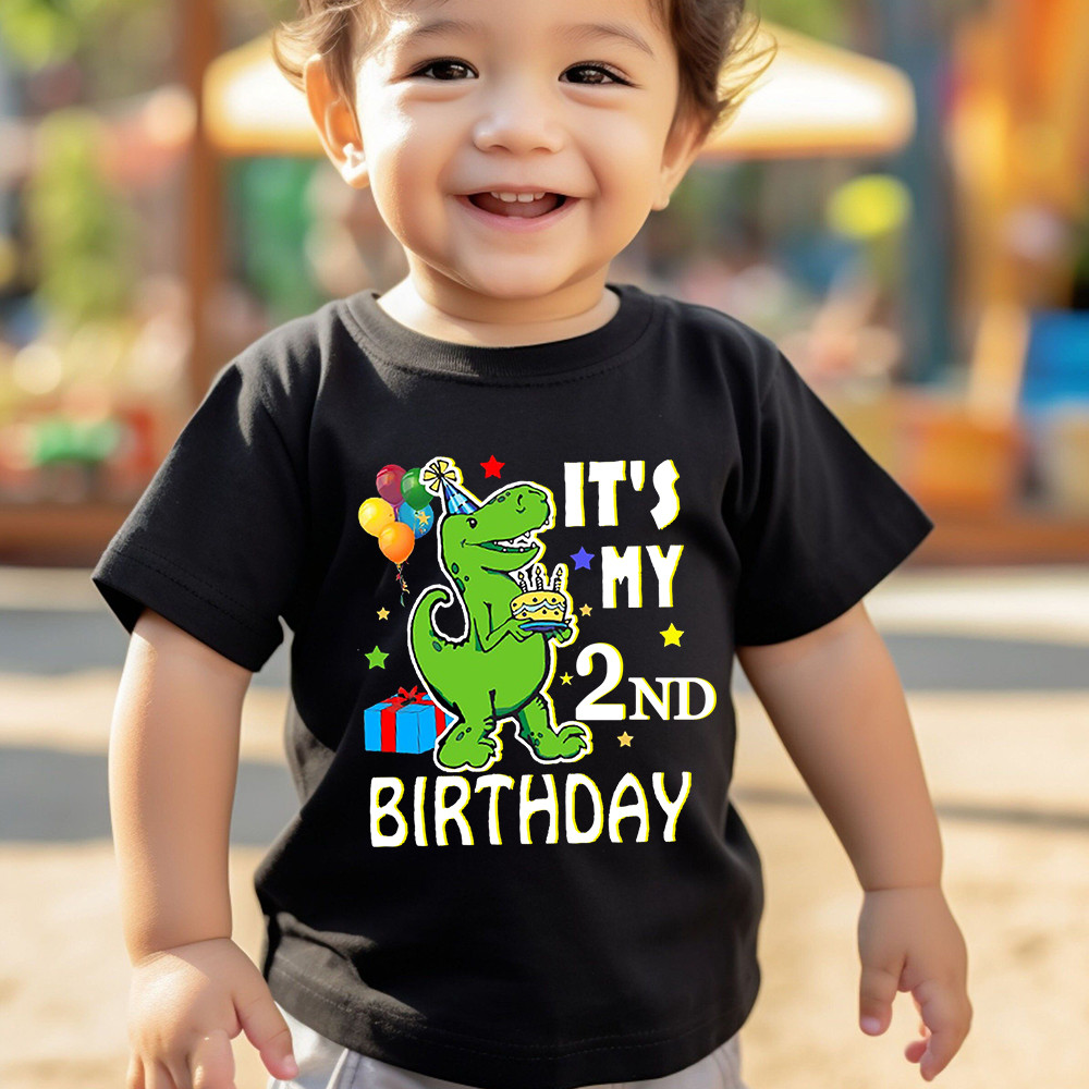 Dinosaur Birthday Theme Cotton T-shirt Boys Dinosaur Birthday Costume ...