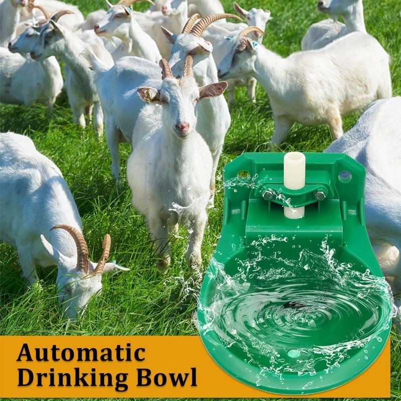 Livestock Sheep Goat Automatic Drinker Bowl With Valve Quality Water ...
