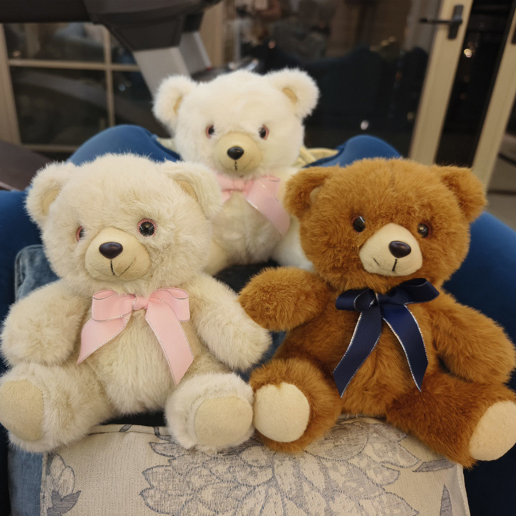 25Cm Bear plush doll for girlfriend stuffed toy for kids gift plushie ...