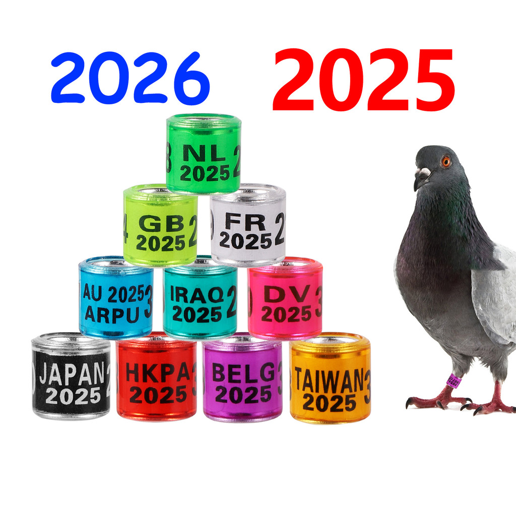 50/10Pcs 2025/2026 Pigeon Foot Ring Multicolor Pigeons Foot Ring 8mm ...
