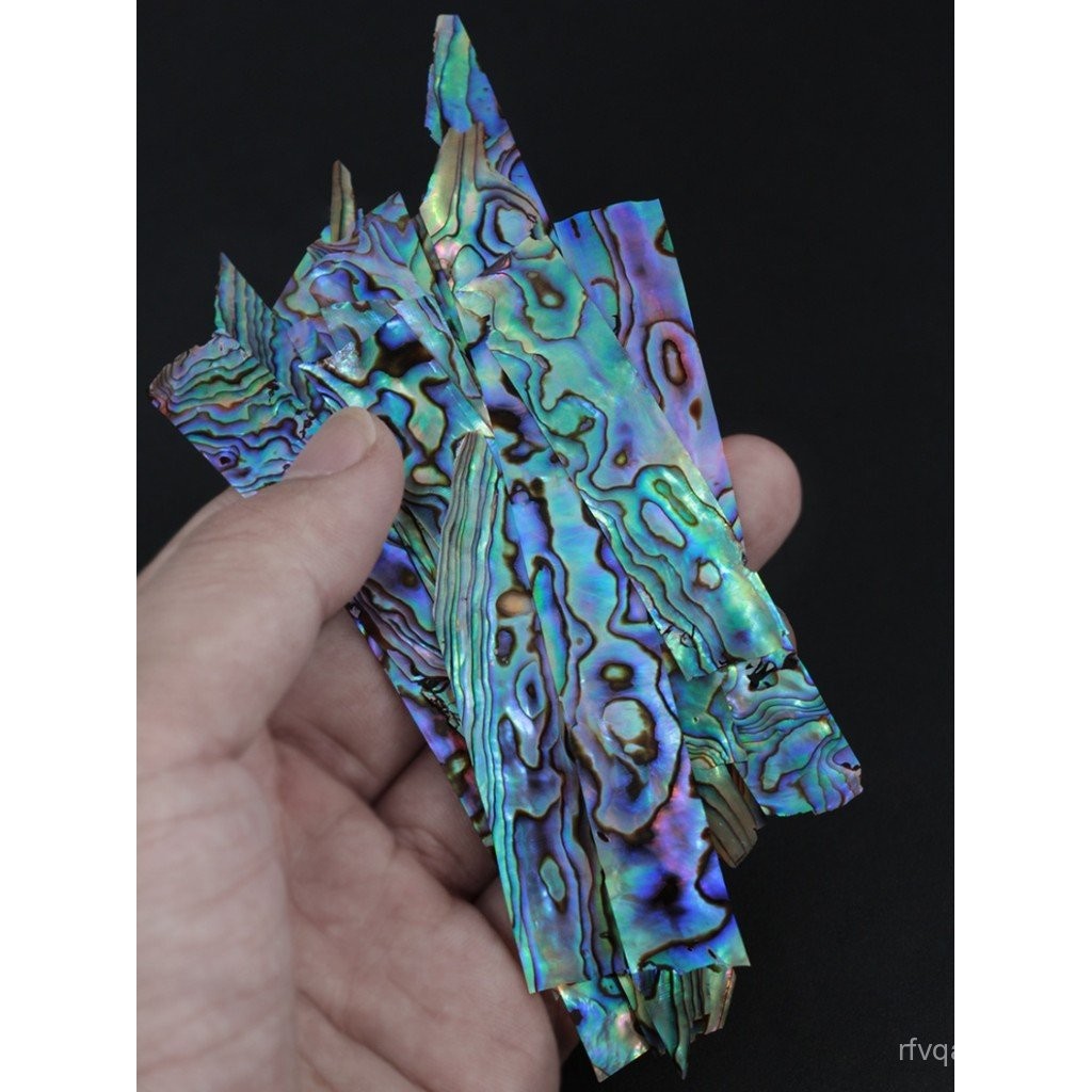 Yanbei Workshop Natural New Zealand Black Gold Abalone Shell Slices ...