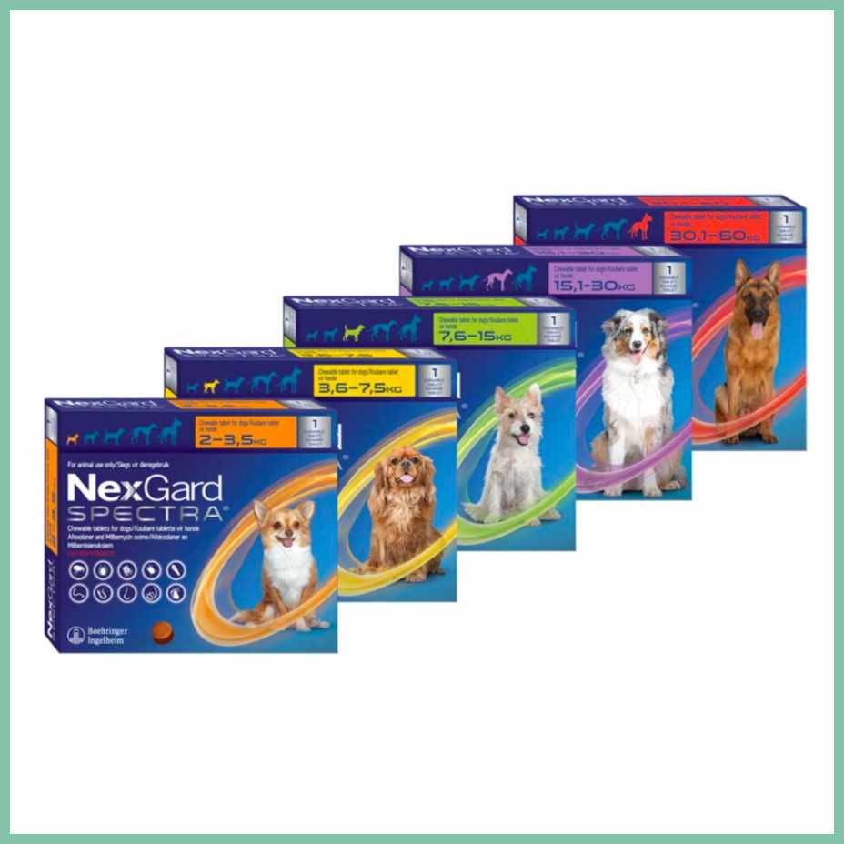 NexGard[fG^Nd-Spectra}t>Chewable)T>Tablets)Z>with)u>Sticker | Shopee ...