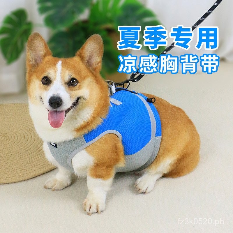 Breathable Summer Harness for Dogs, Corgi Leash Vest, Pet Clothing for ...