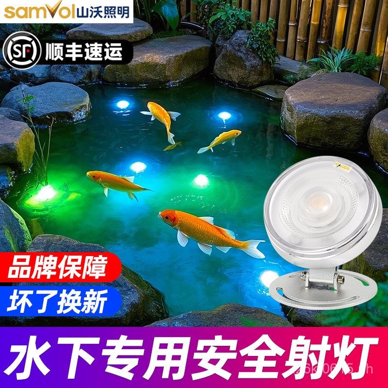 Colorful Low Voltage LED Fish Pond Swimming Pool Light Underwater Light ...
