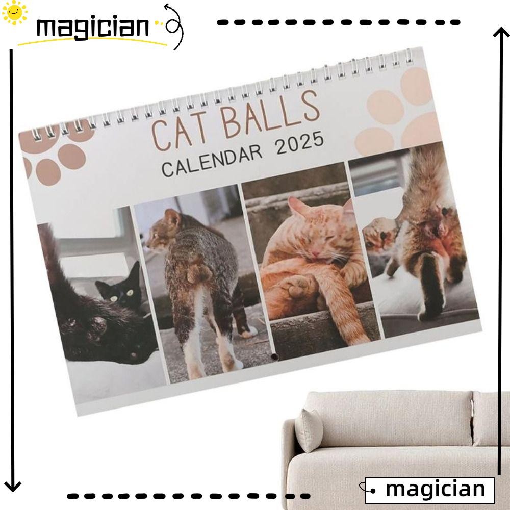 MAG Cat Balls Calendar 2025, Hangable Novelty 2025 Wall Calendar, Funny ...