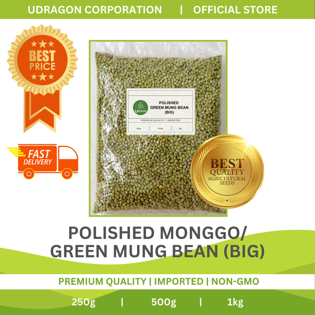 Polished Green Mung Beans/ Monggo Kintab (Big) -250g, 500g, 1kg ...