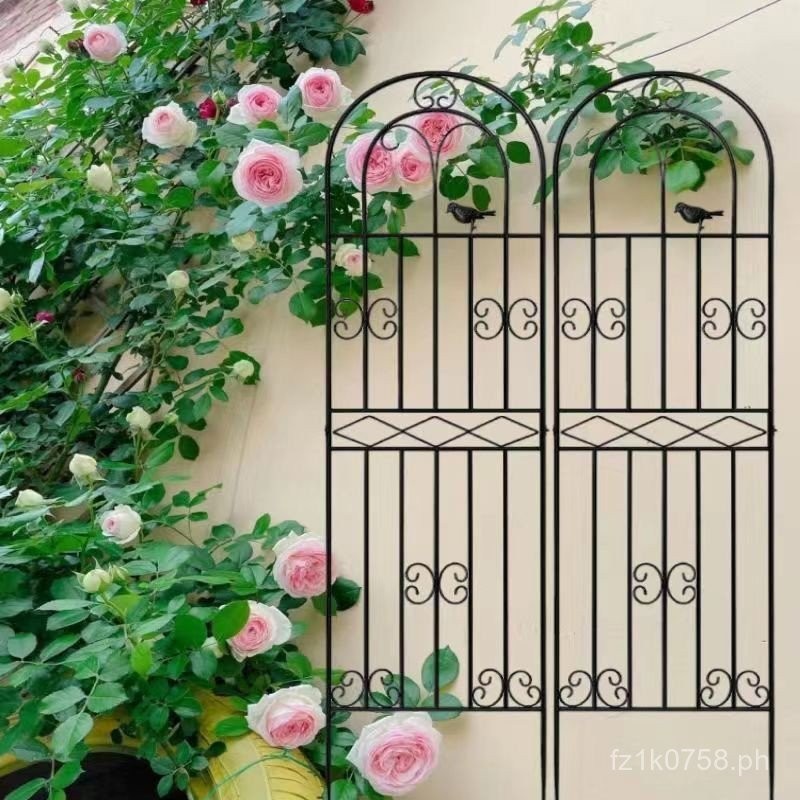 Support Rod Climbing Rose Vine Climbing Rose Frame In Stock ...