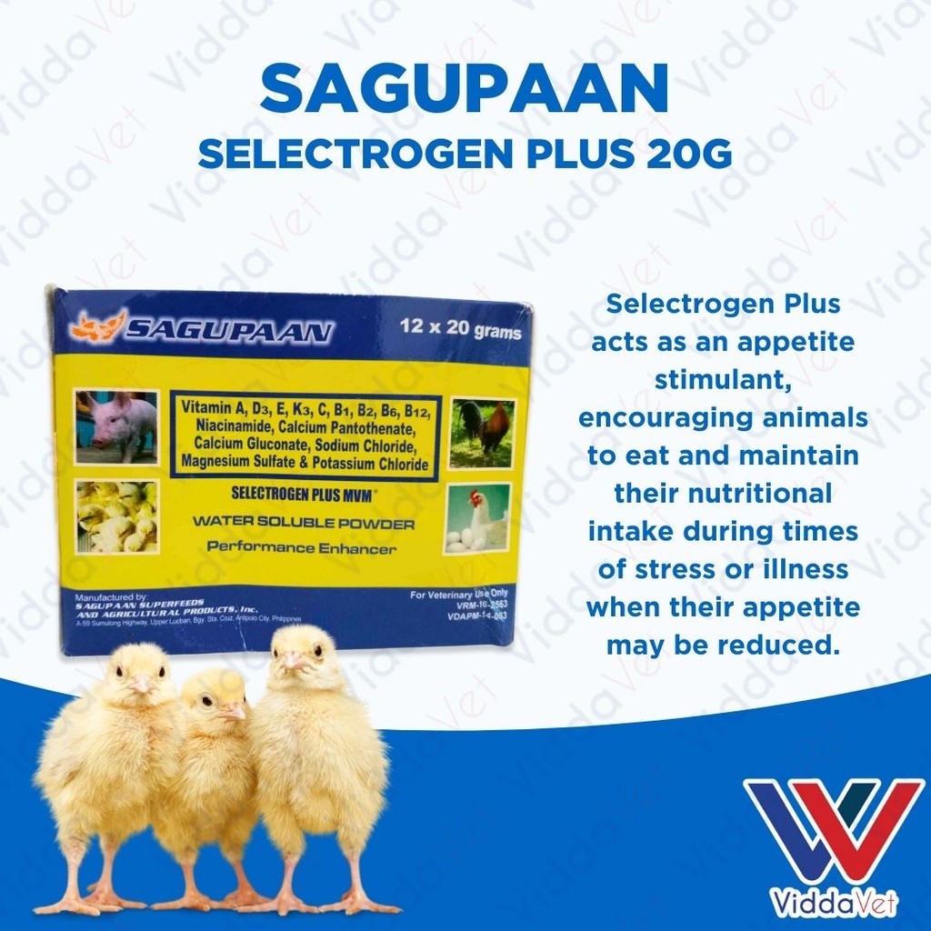 Blend of Multivitamins and Electrolytes for Enhanced Animal Health ...