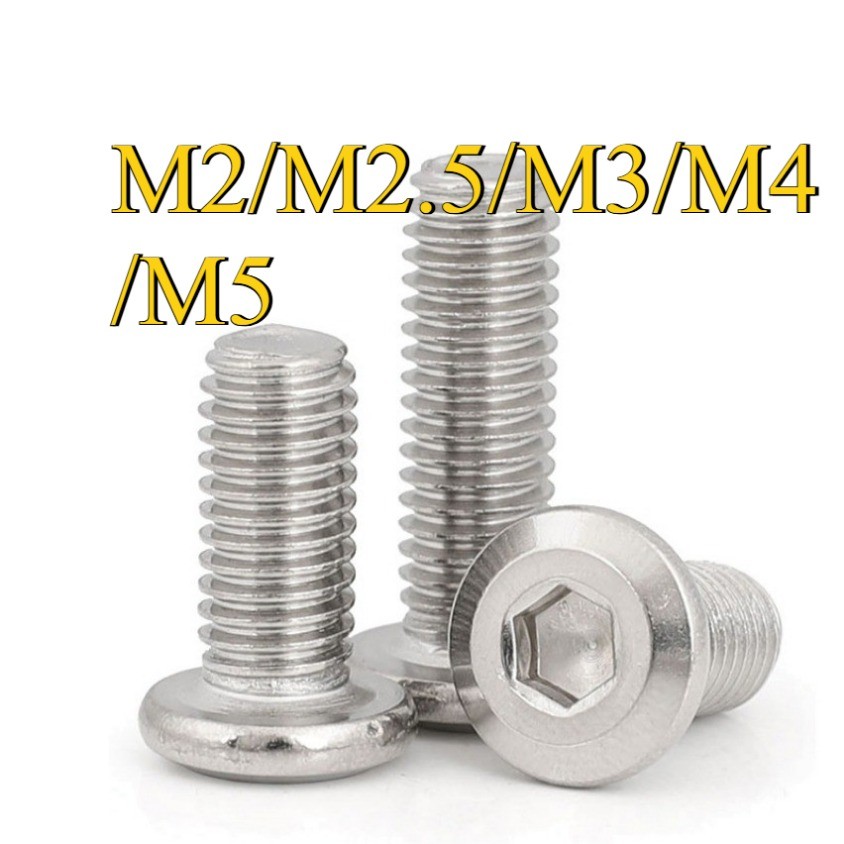 SS304 Allen Screw/Furniture Bolt / Insert Bolt / Hex Socket Allen Flat ...