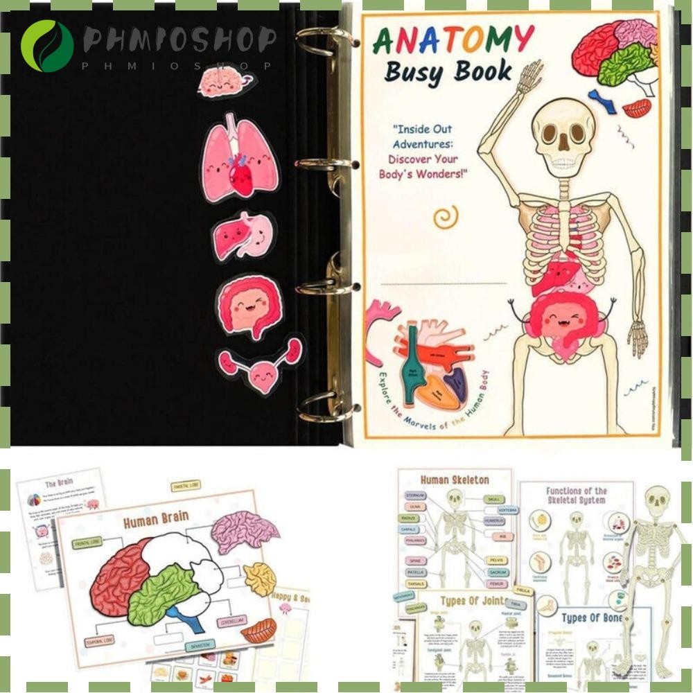 MIOSHOP Human Anatomy Busy Book, Montessori Autism Preschool Learning ...