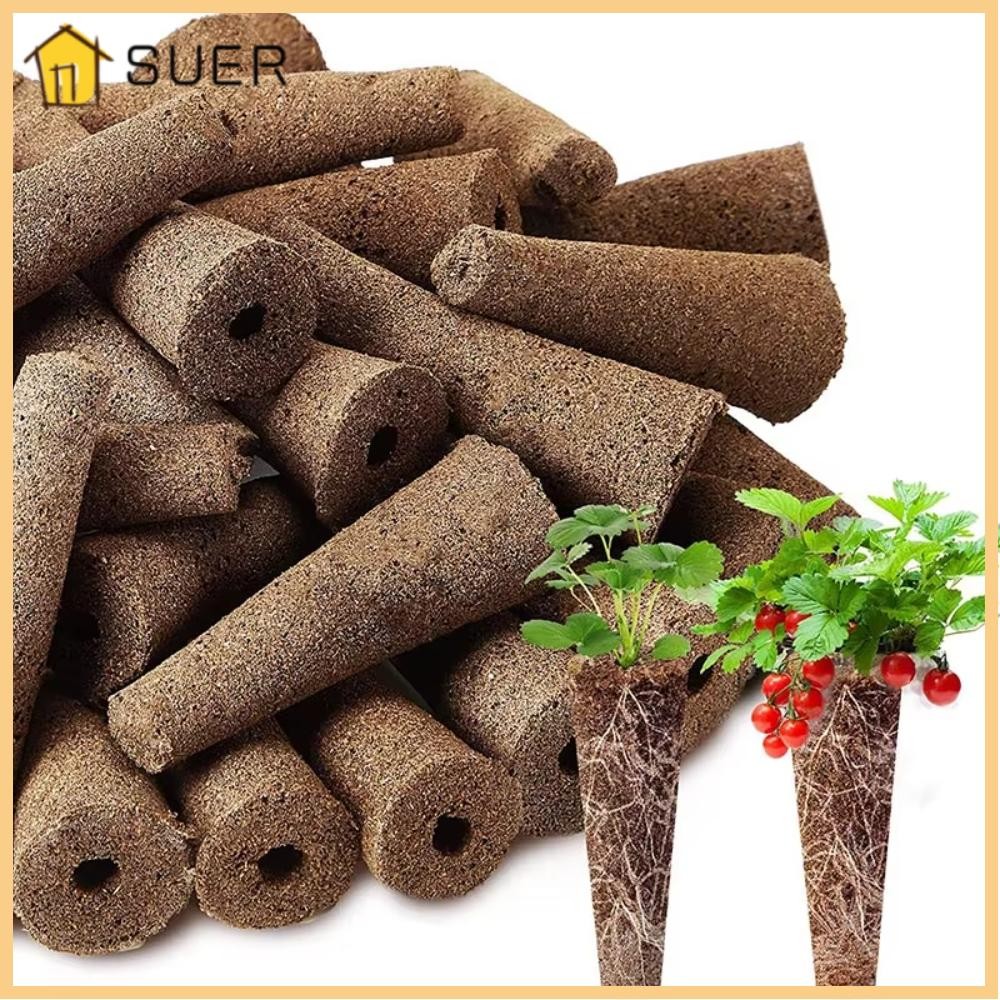 SUER1EN 30pcs Grow Sponges, Planting Tool Starting Growth Sponges ...