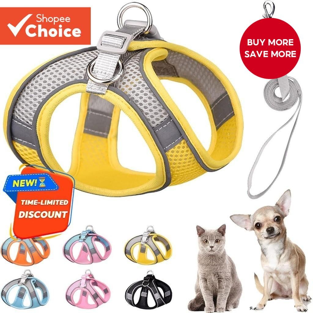 Soft Small Dog Harness and Leash Set Step in Air Mesh Puppy Harness ...