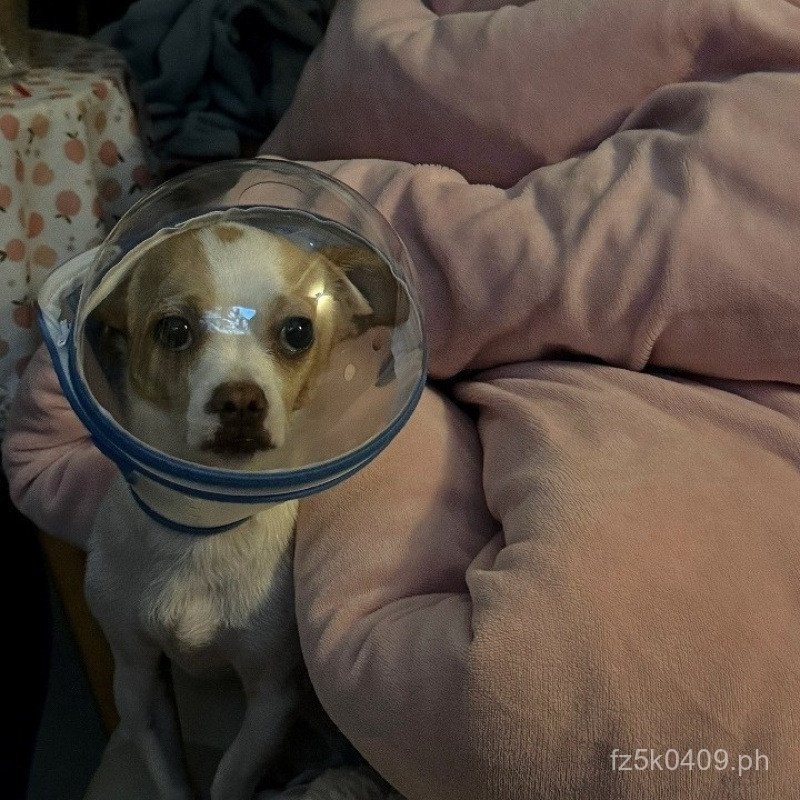 Cat Head Cover Anti-Lick Anti-Bite Extended Elizabethan Cone Circle ...