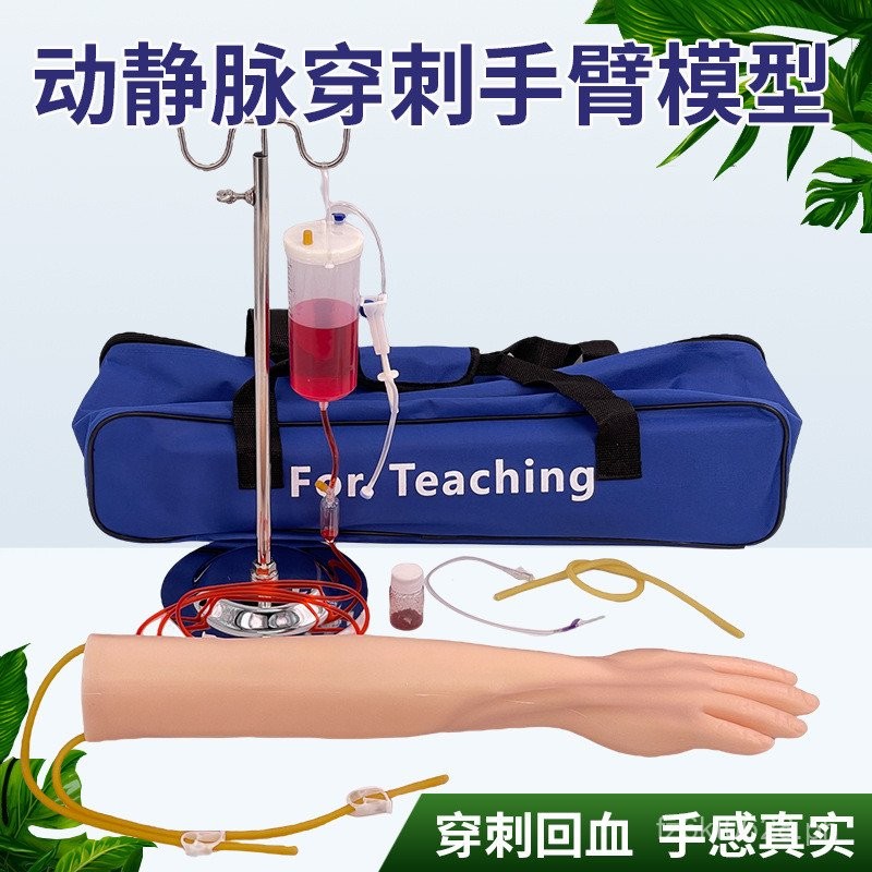 Practical Injection Blood Drawing Arm Nurse Doctor Teaching Arterial ...