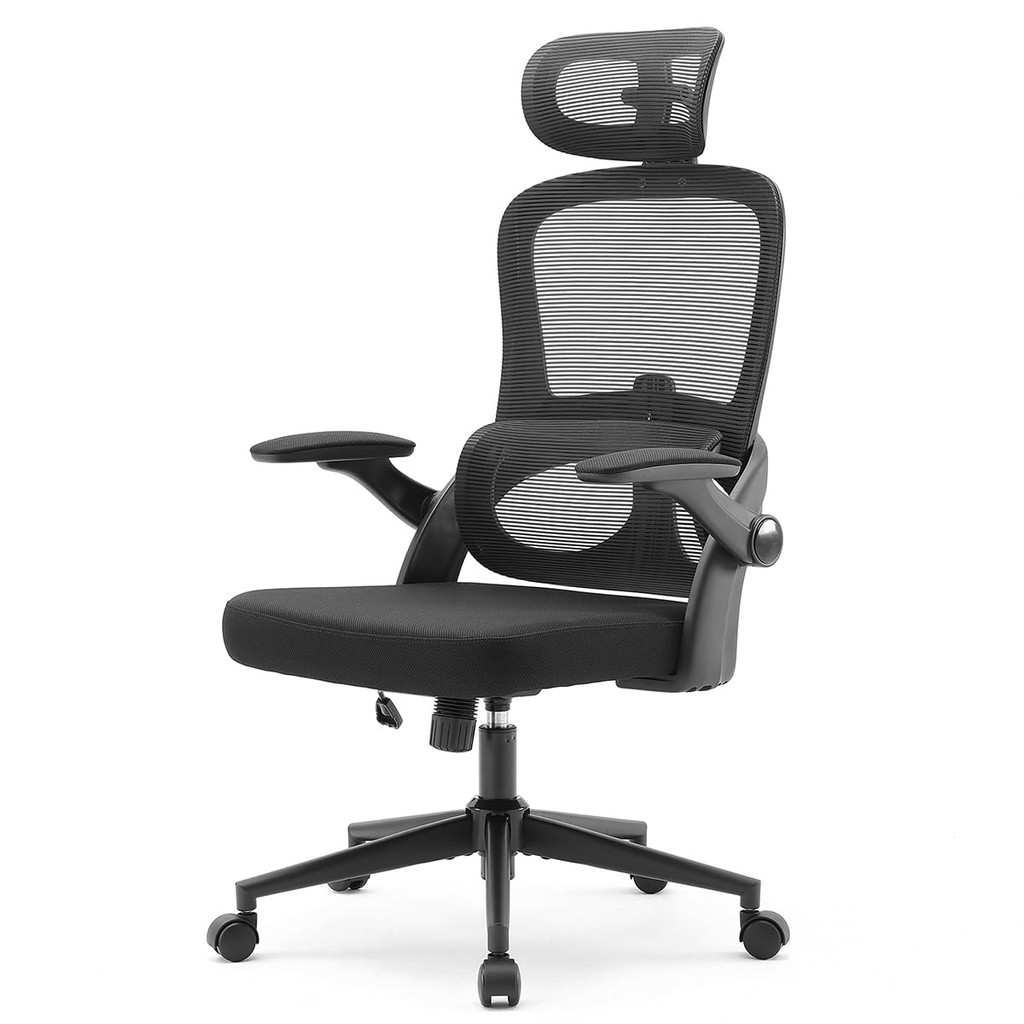 SIHOO M102C Office Chair, Independent Lumbar Support, Chair, Desk Chair ...