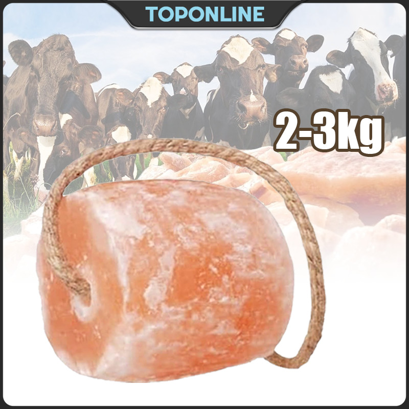 2-3KG Himalayan Mineral Block Natural Himalayan Salt Licks Block for ...