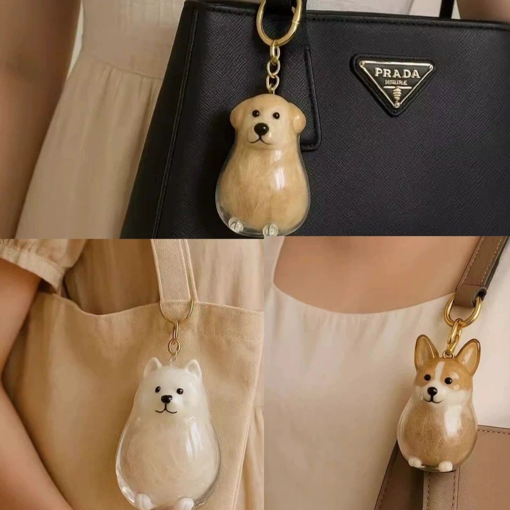 New Transparent Storage Box Dog Hair Collection Pendant Golden ...