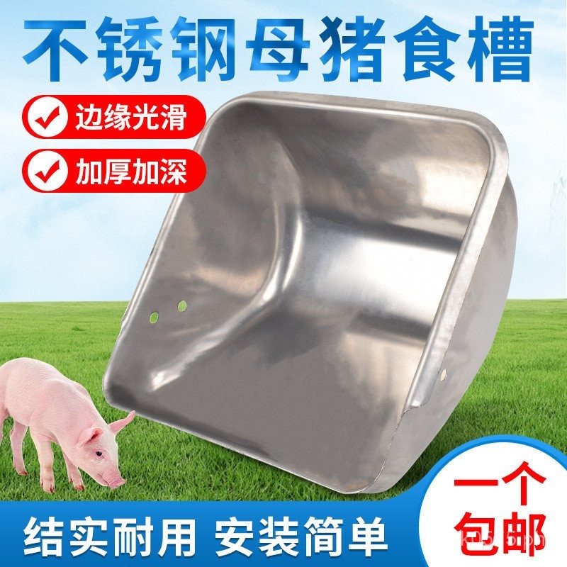 Feeding the Big Pig Pig Feed Bed for Sows VVX3Feeding Trough Refill ...