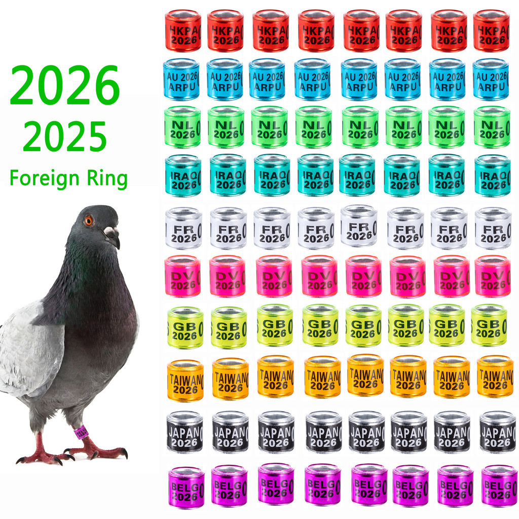 50 Pcs 2025/2026 Pigeons Foot Ring Multicolor 8mm With Word Training ...