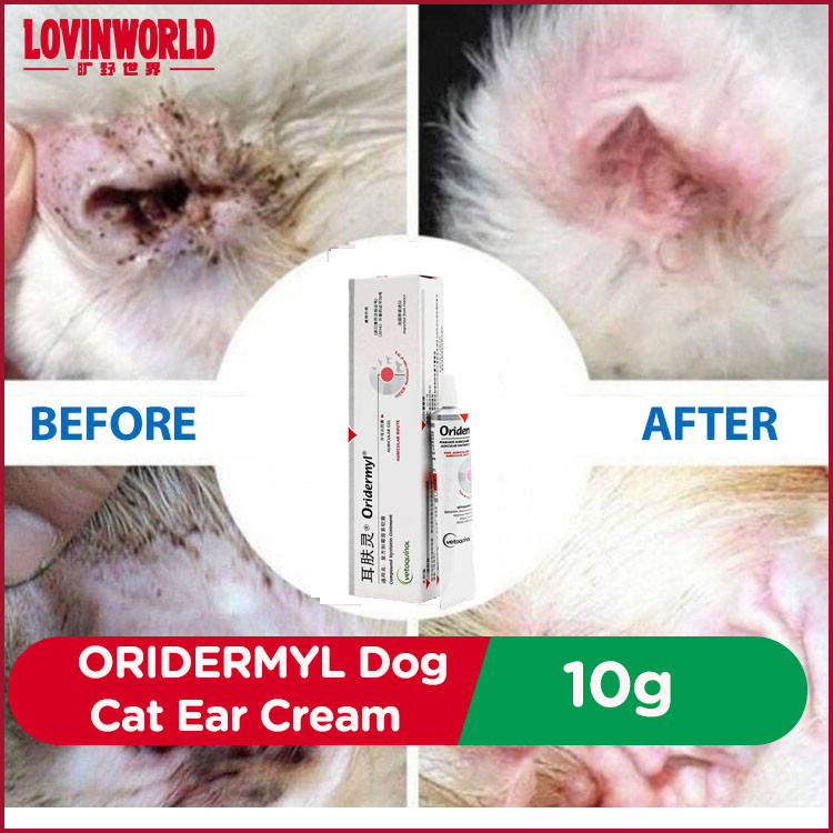 ORIDERMYL Dog Cat Ear Cream 10g Ear Mites Otitis Fungus Treatment Itchy ...