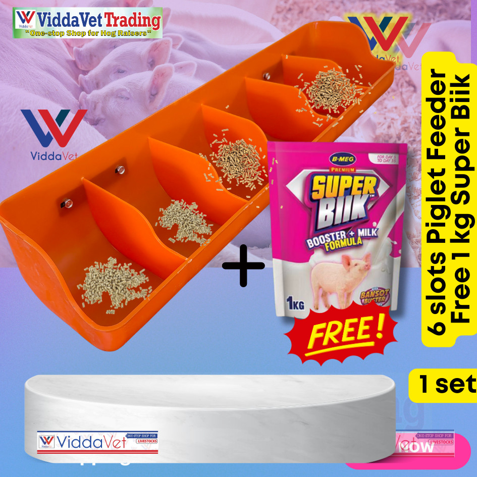 6-slot Piglet feeding trough + Super Biik 1kg Piglet Feeding Automatic ...