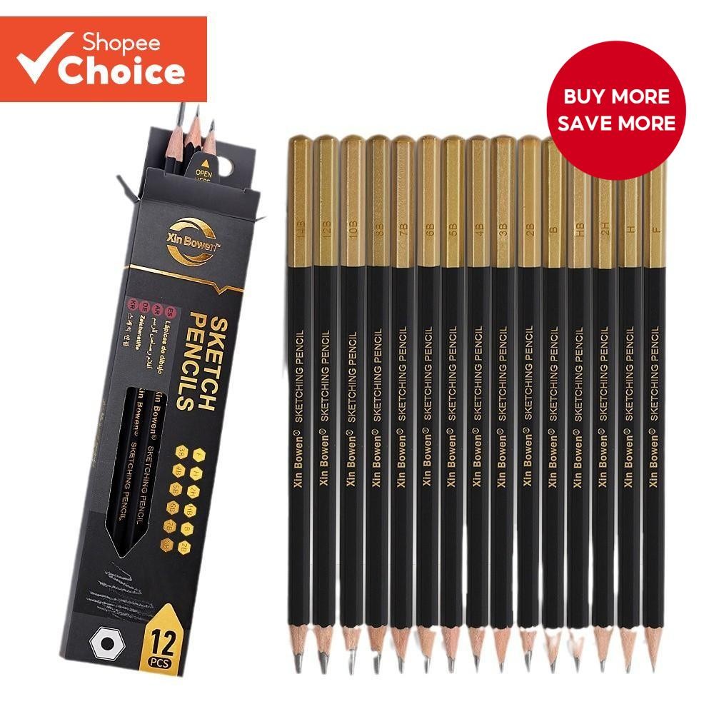 Professional Charcoal Pencils Set - 12Pcs Sketch Black Pencils for ...