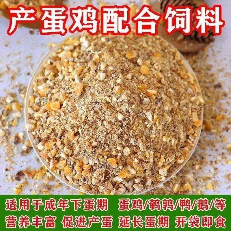 Chicken Feed for Hens, Large Egg Laying Feed, Household Chicken Feed ...