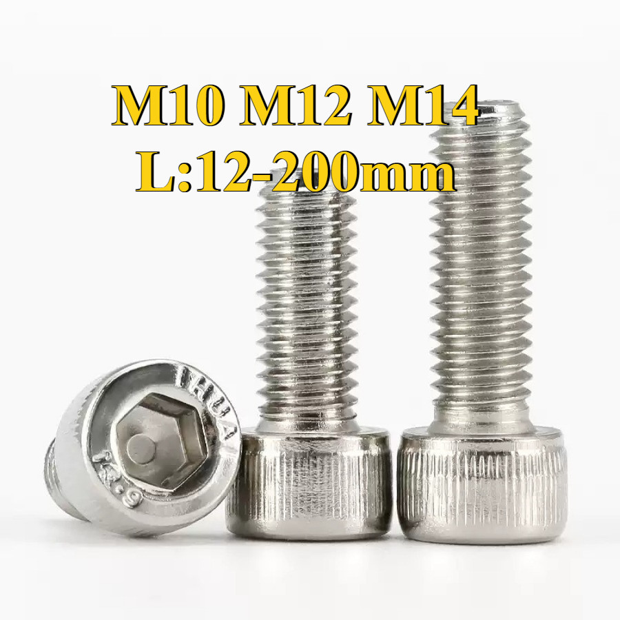 Screw SS304/Allen Capscrew / Allen Bolt Socket Head Cap Screw M10/M12 ...