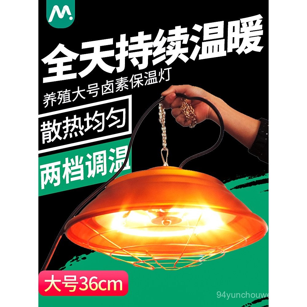 Muduo plus-Sized Halogen Heat Preservation Lamp Farm Heating Lamp ...