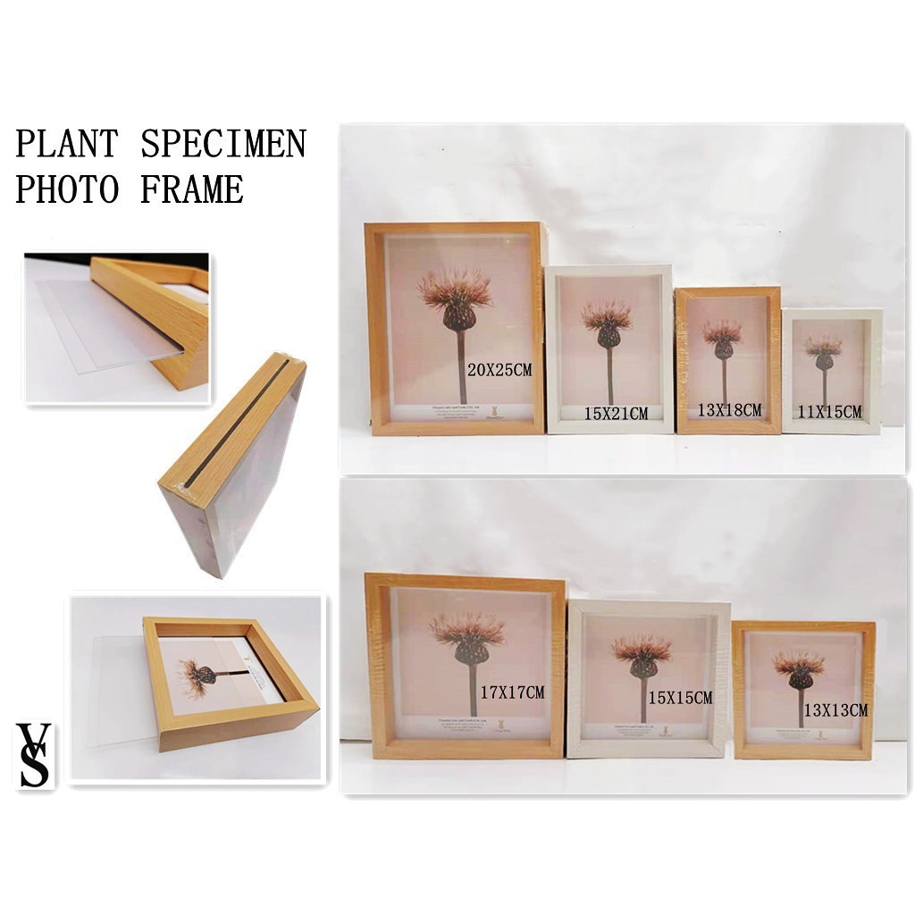 WOODEN PLANT SPECIMEN FRAME PHOTO FRAME MINI MULTIFUNCTIONAL PHOTO ...