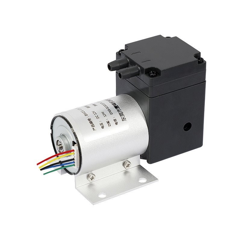 Miniature Electric DC Pump12V24V220V Mini Pump Medical Instrument ...