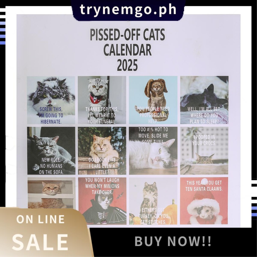 Available 2025 Pissed-Off Cats Calendar Funny Cat Wall Calendar Cats ...
