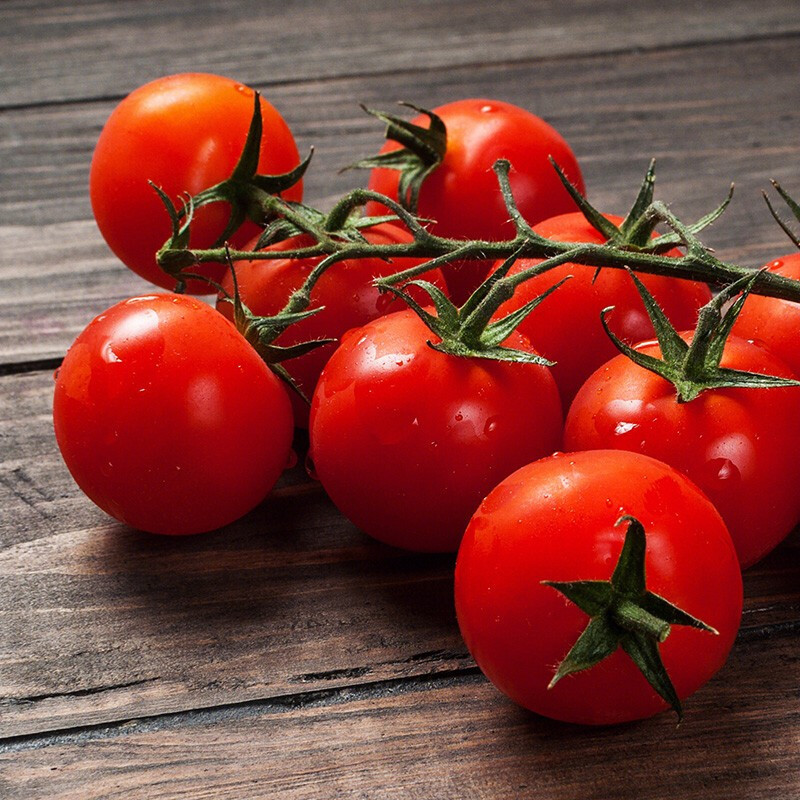 High Yielding Seeds丨Fresh Red Cherry Tomato Seeds for Planting (20 ...