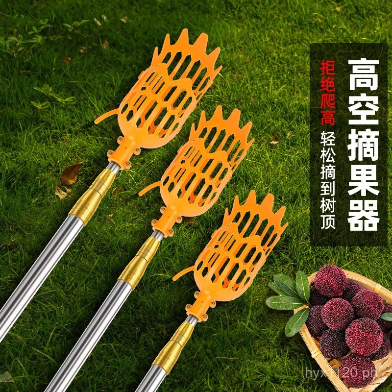Fruit Picker Telescopic High Altitude Persimmon Jujube Plum Fruit ...