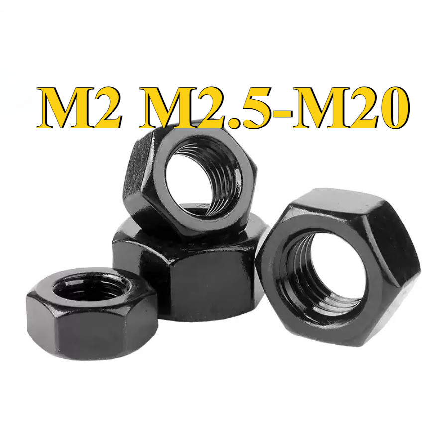 Black 304 Stainless Steel Hex Nut M2/M2.5-M20 (YMH-RM-PH) | Shopee ...