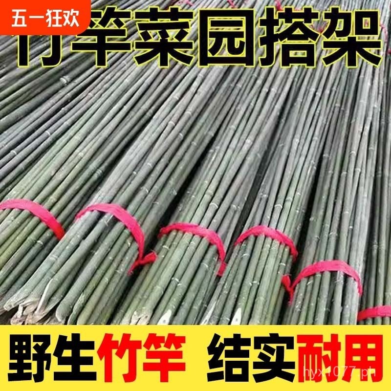 Courtyard Small Bamboo Trellis Garden Cucumber Rack Climbing Vine Rack Thin Bamboo Rod Vegetable ...