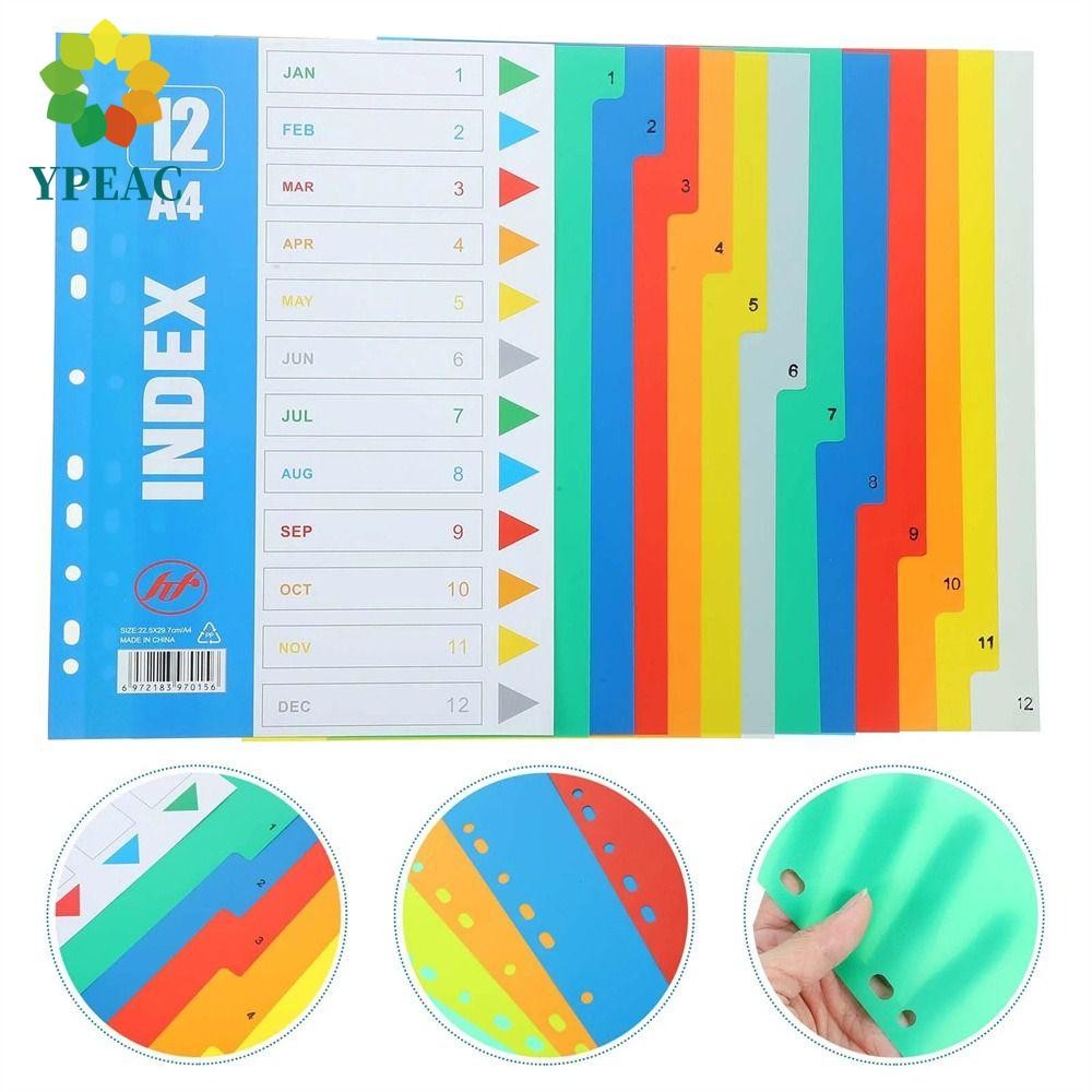 YPEAC Index Separator Page, 5/10/12/20/31Pages A4 Size Loose-leaf Dividers, Binder Tabs Colored ...