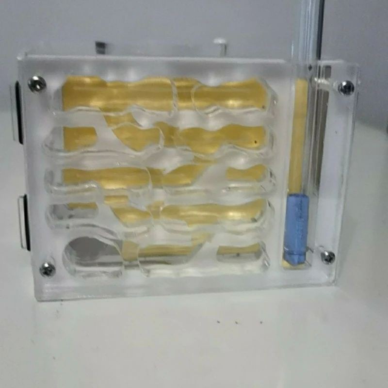 Ant Warship Acrylic Biomimetic Ant Nest Ant Castle Ant Empire Full ...